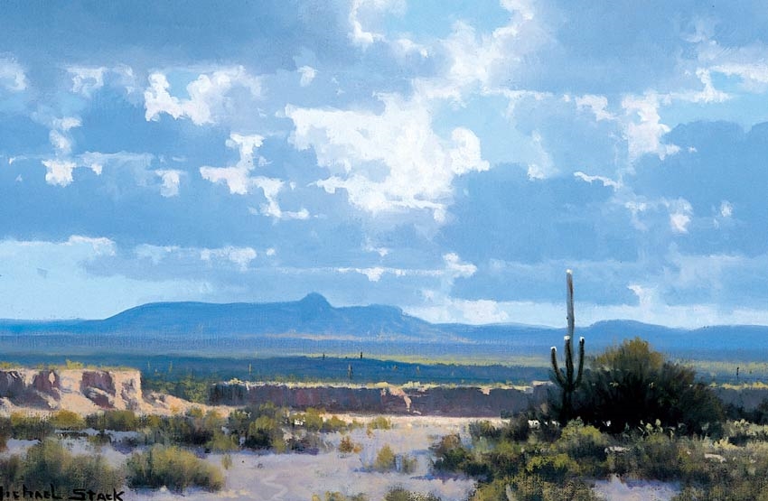 Michael Stack | Desert Rain | MutualArt