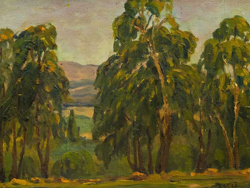 Jack Wittrup | Gum Trees near Johannesburg | MutualArt