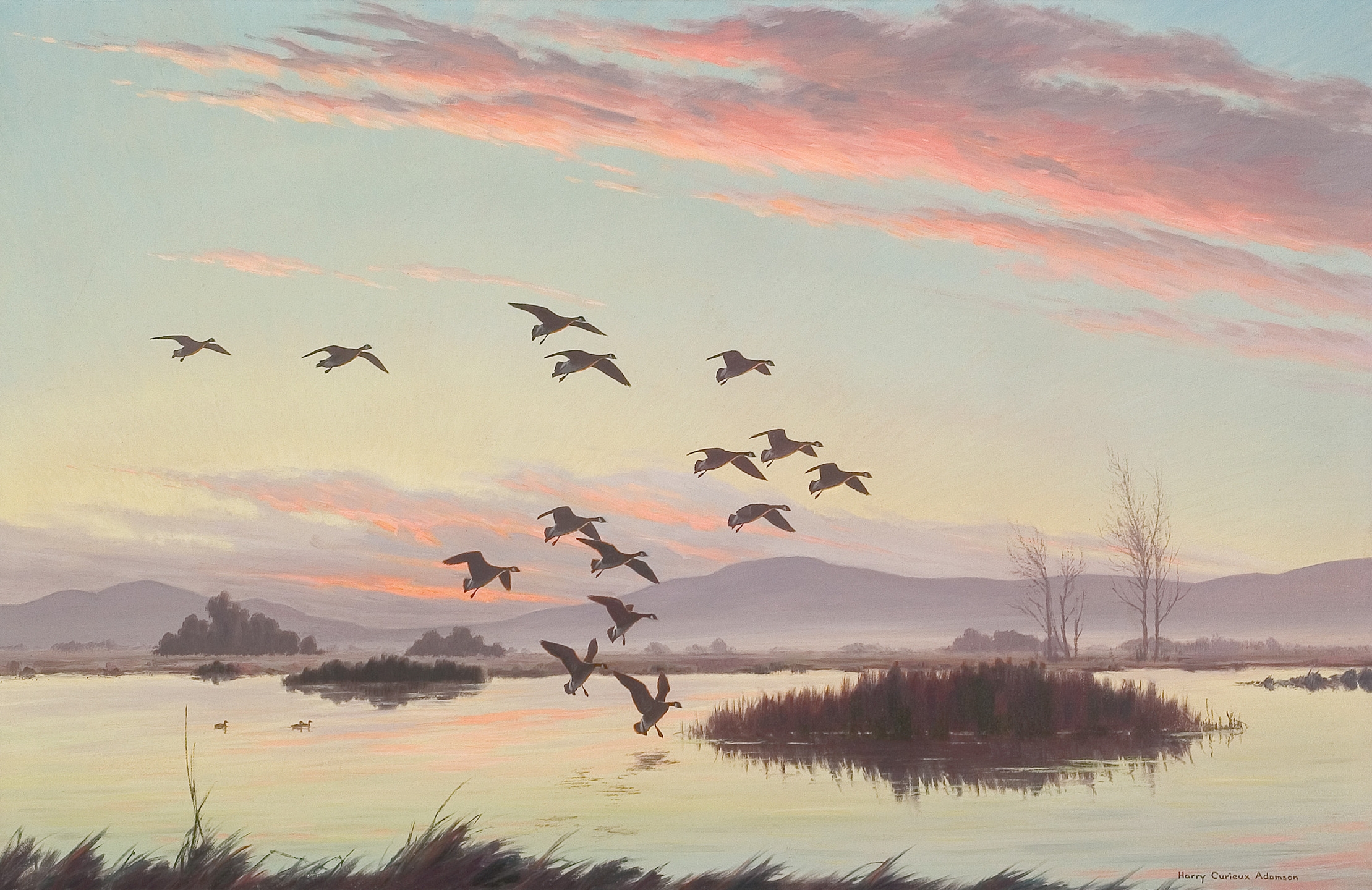 Harry Curieux Adamson | Honkers in Lassen County | MutualArt