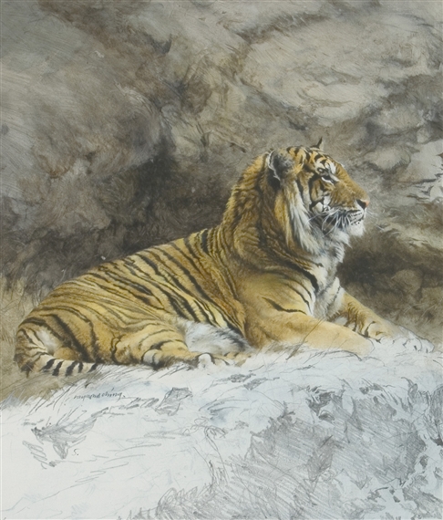 Raymond Harris Ching | Tiger (1976) | MutualArt
