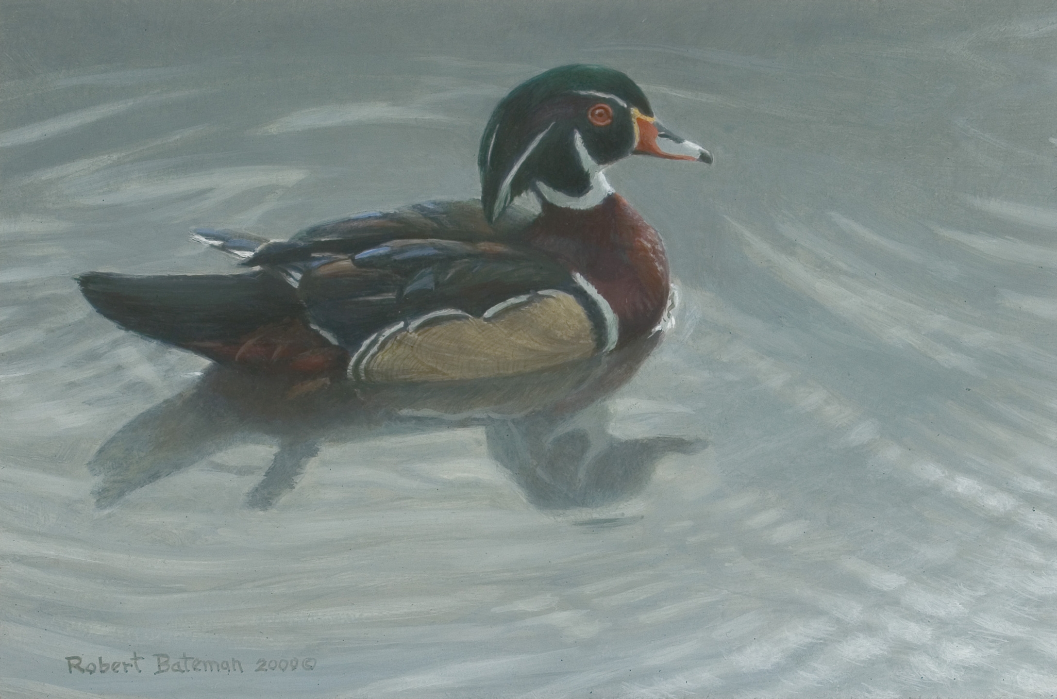 Robert McLellan Bateman | Wood Duck (2000) | MutualArt