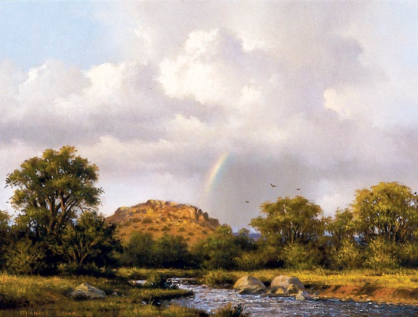 Michael Stack | Desert Rain | MutualArt