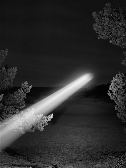 Geert Goiris | 5 Artworks at Auction | MutualArt