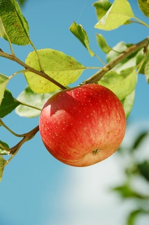 Mustafa Hulusi (British, 1971) - MutualArt