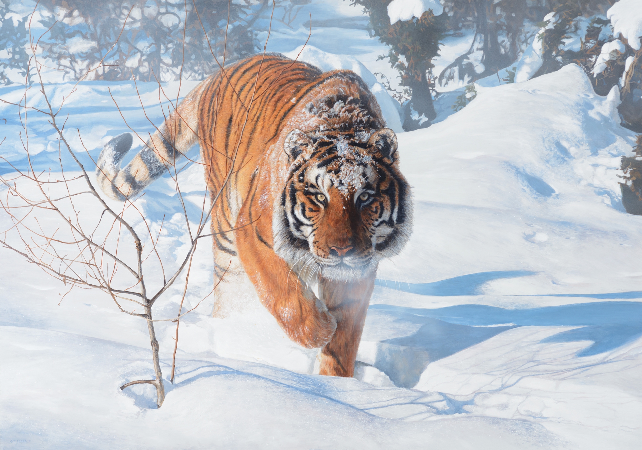 Terry Isaac | Tiger in the Snow (1997) | MutualArt