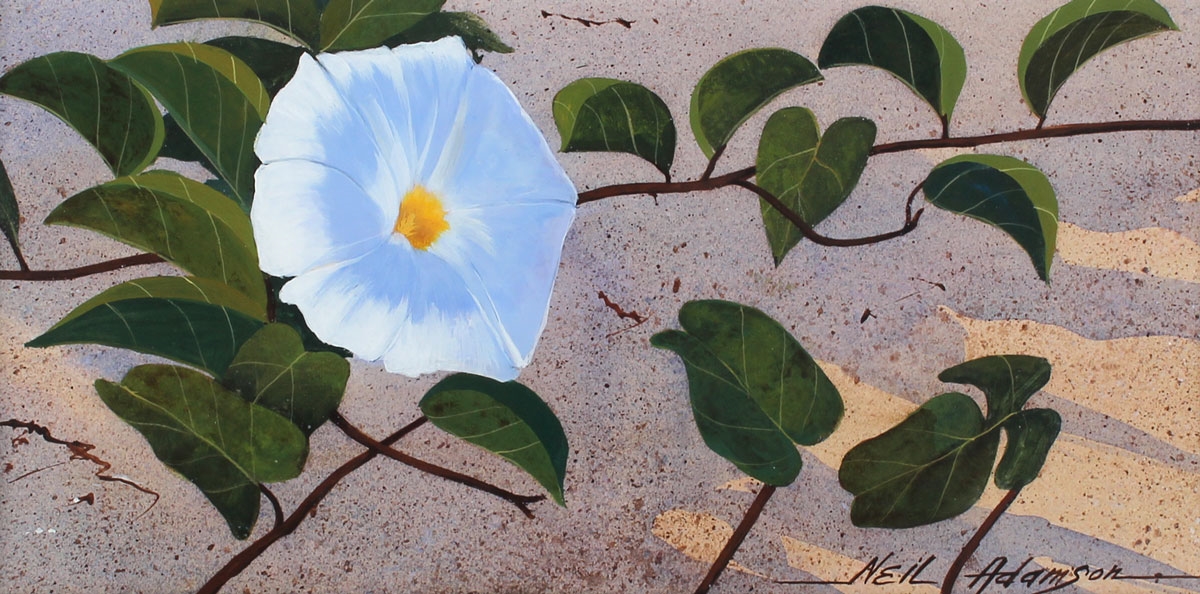Neil Adamson | Morning Glory | MutualArt