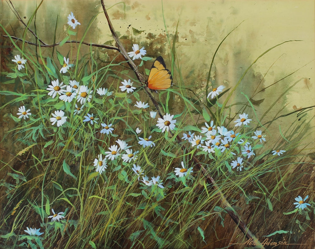 Neil Adamson | Daisies with Butterfly | MutualArt
