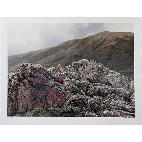 Richard Thomas Davis | Outcrop (1978) | MutualArt