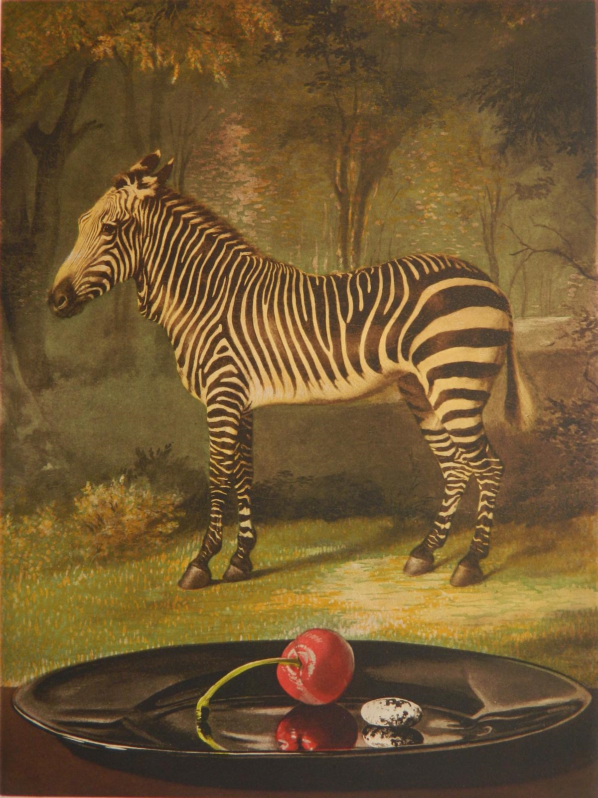 Sherrie Wolf | Zebra with Cherry and Fava Bean (2011) | MutualArt