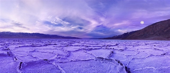 Cheyne Walls | Artist Overview | MutualArt