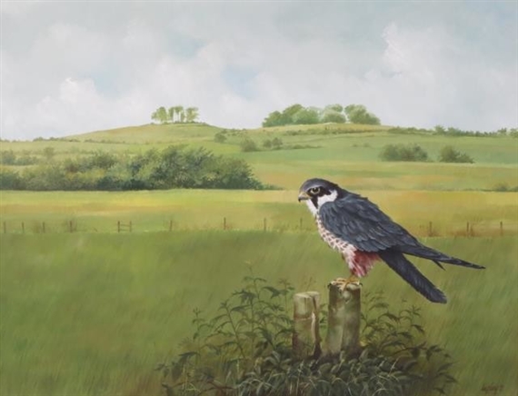 Edward Ripley | Hobby at Wittenham Clumps (Oxfordshire) (1991) | MutualArt