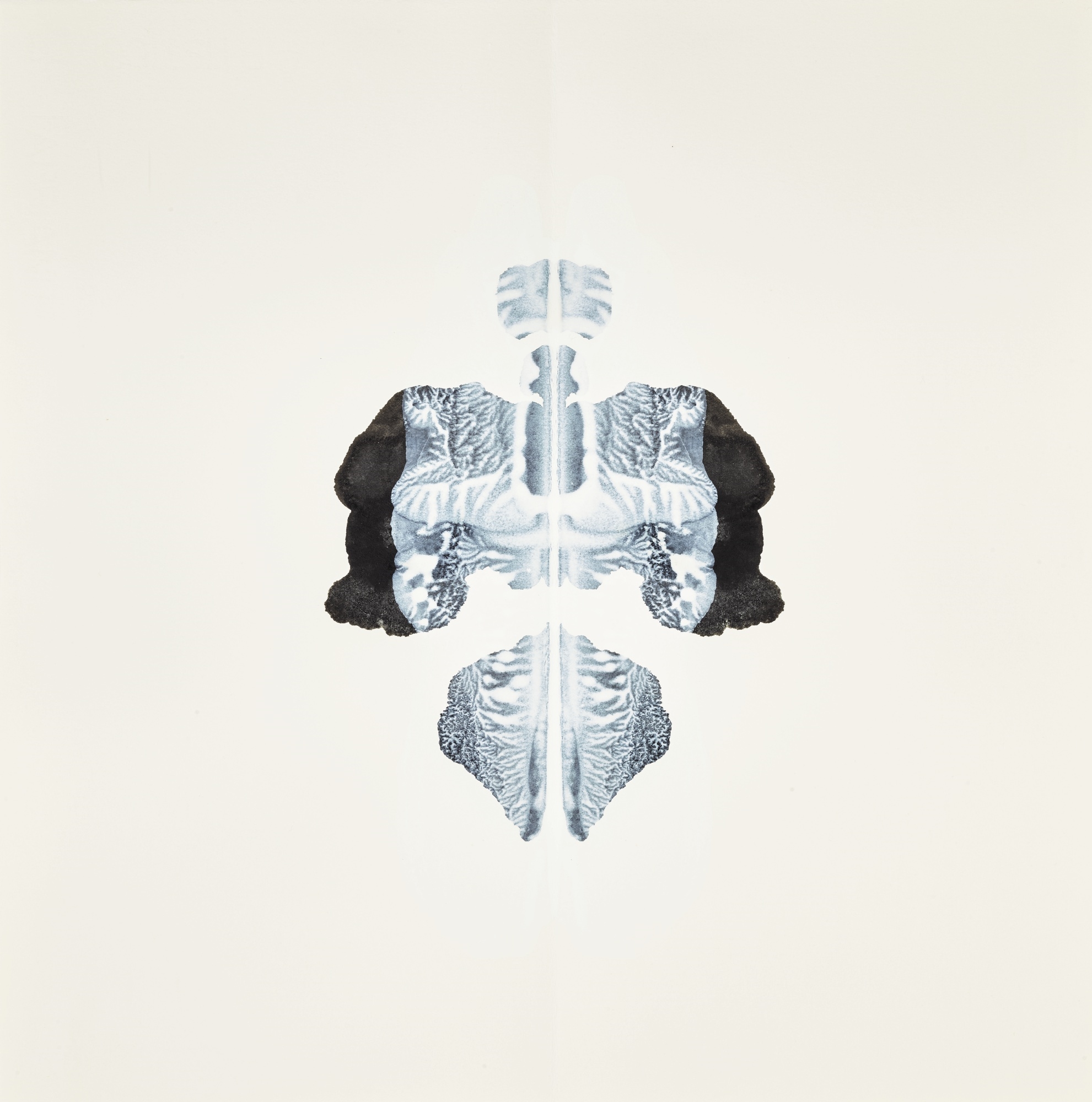 Cornelia Parker Drawings