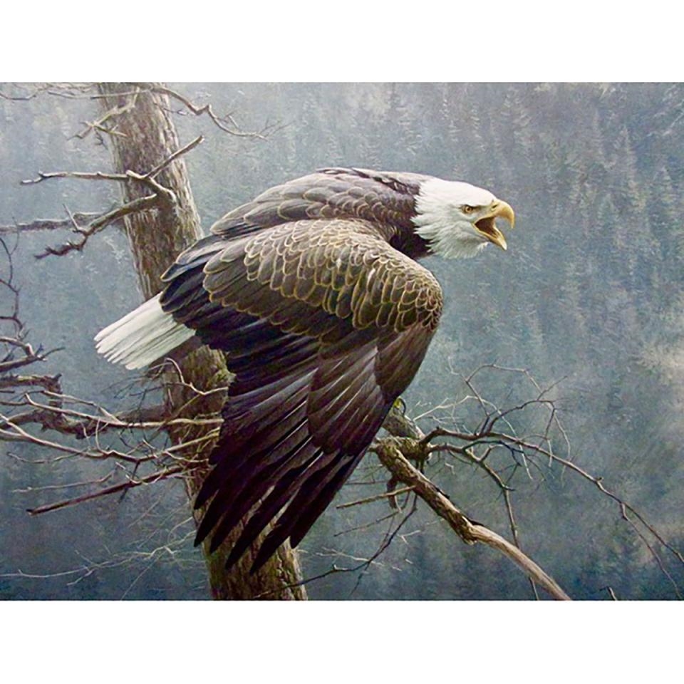 Robert McLellan Bateman | Bald Eagle Portrait | MutualArt