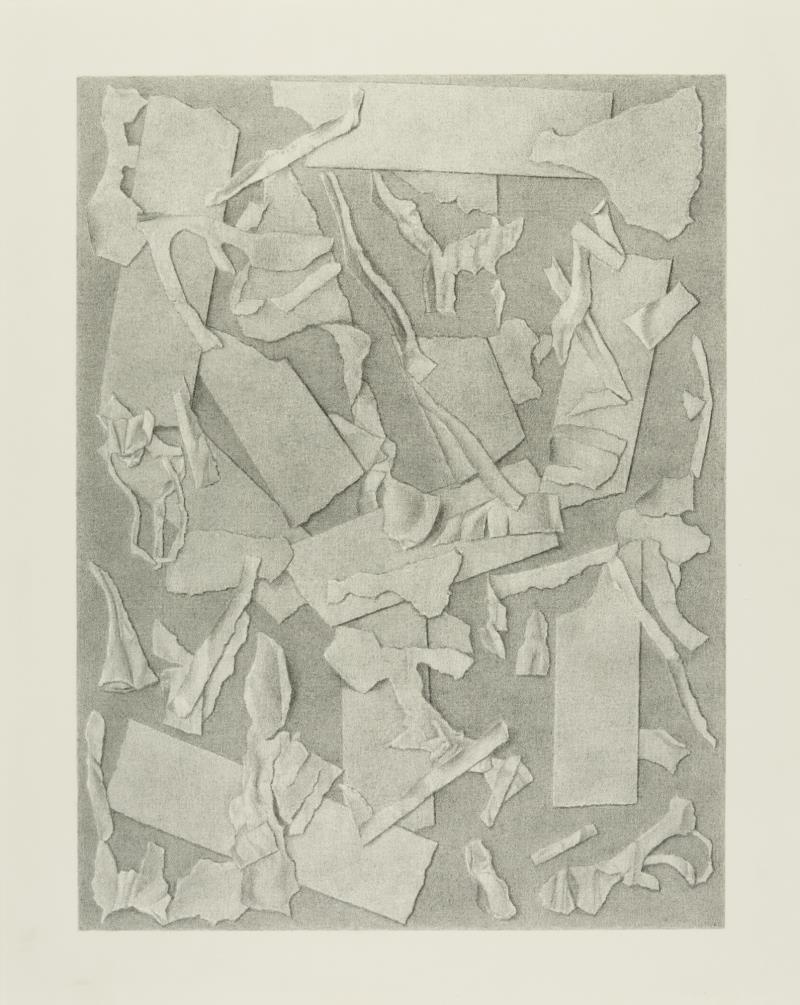 David Musgrave | PLANE WITH PAPER SCRAPS (2006) | MutualArt