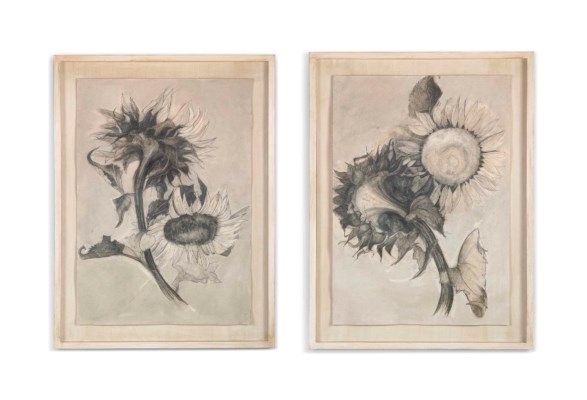 Sarah Graham | Sunflower studies | MutualArt