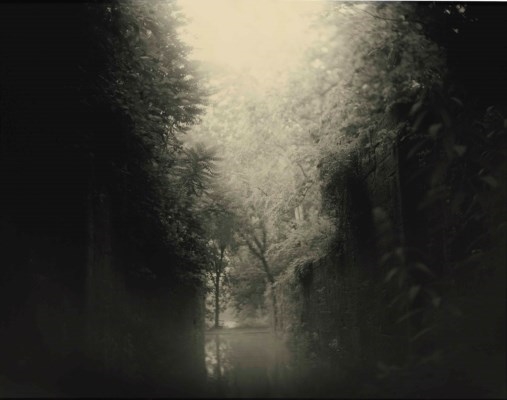 Artworks of Sally Mann (American, 1951)