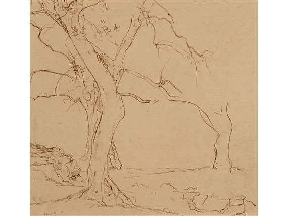 Albert Rutherston | A PAIR OF TREE STUDIES | MutualArt