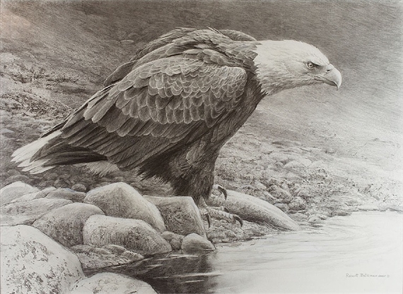 Robert McLellan Bateman | Bald Eagle | MutualArt