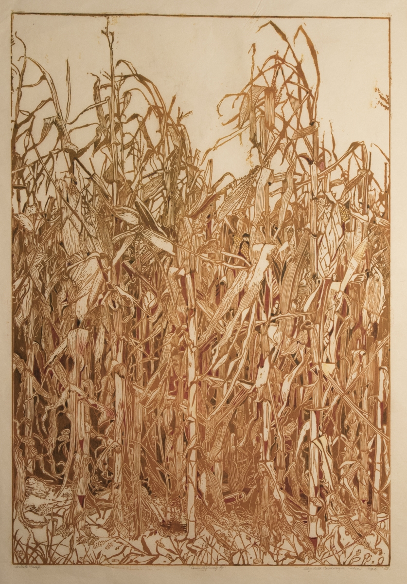 Elizabeth Cavanagh Cohen | Corn Highway 94 (1987) | MutualArt