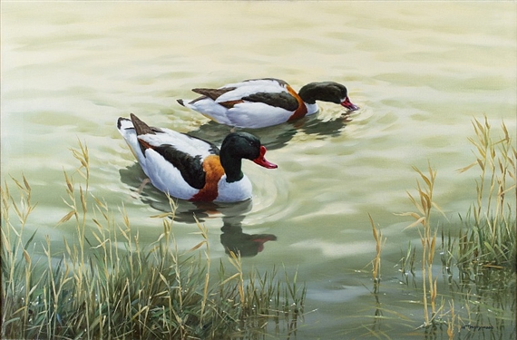 William Hollywood | Shelducks | MutualArt