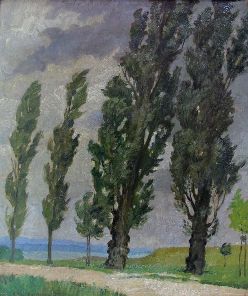 Karl Purrmann | 'Bodensee-Landschaft mit Pappeln bei aufkommendem ...