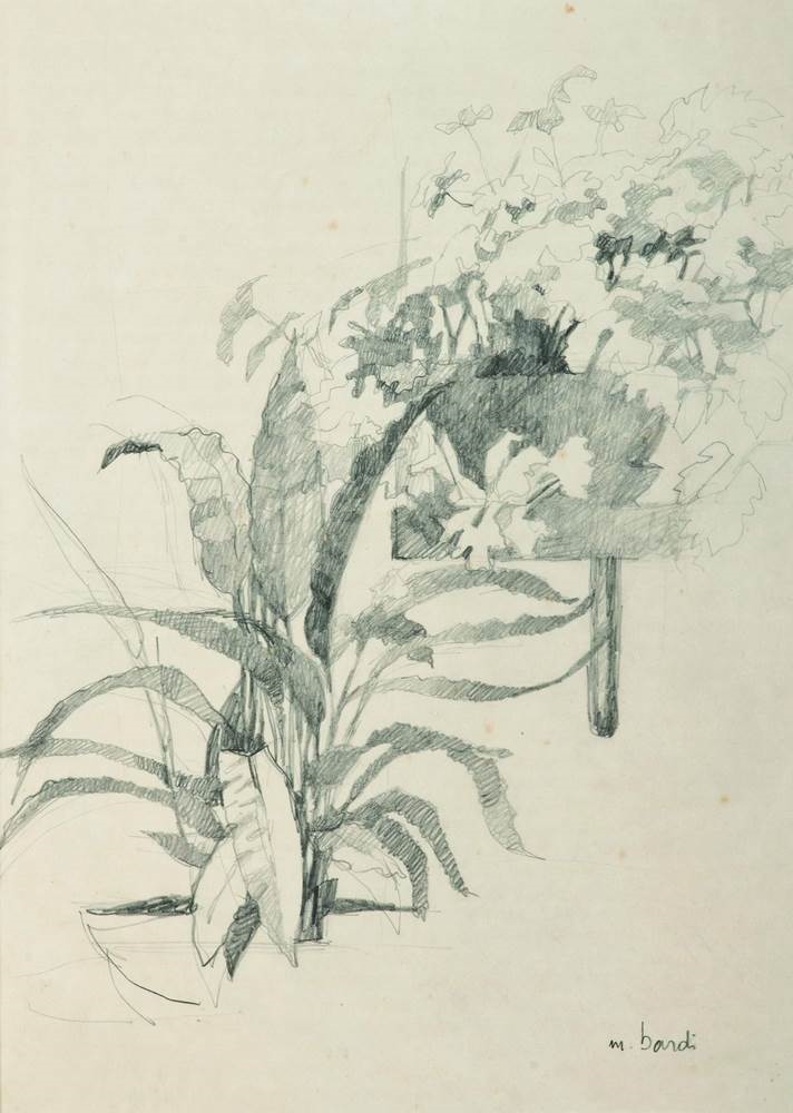 Mario Bardi | Piante | MutualArt