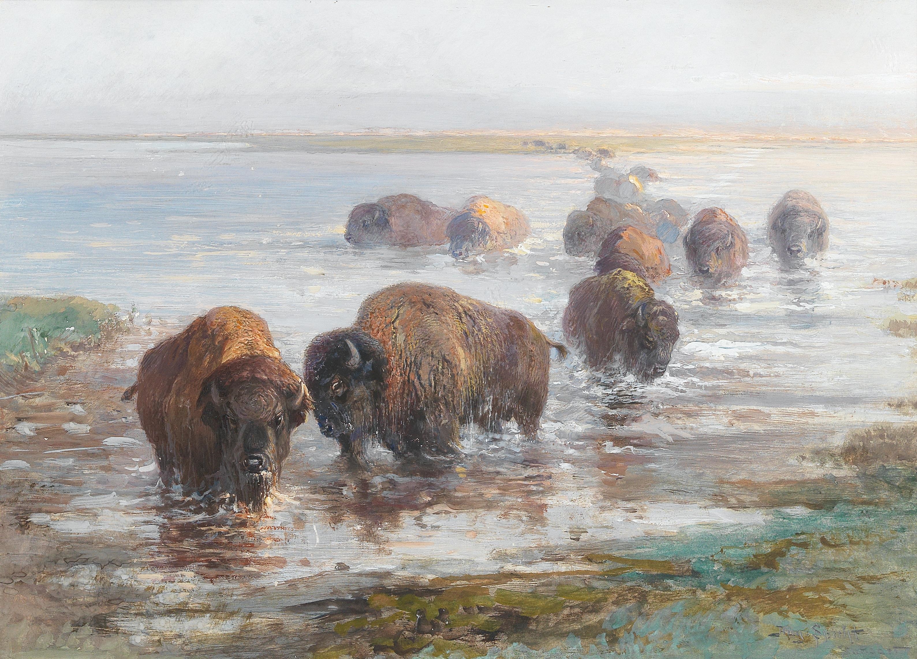 August Specht | A Bison herd crossing a river | MutualArt