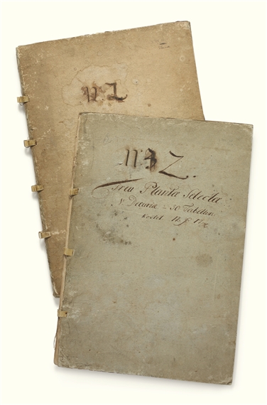 Christoph Jacob Trew | PLANTÆ SELECTÆ [–SUPPLEMENTUM PLANTARUM ...