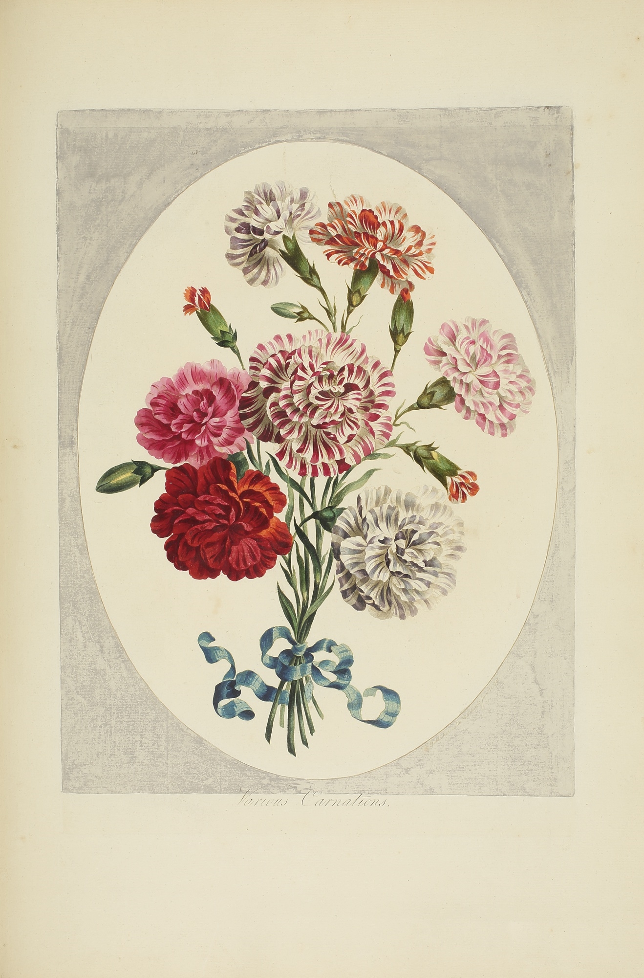 John Edwards | A COLLECTION OF FLOWERS DRAWN AFTER NATURE, & DISPOSED ...