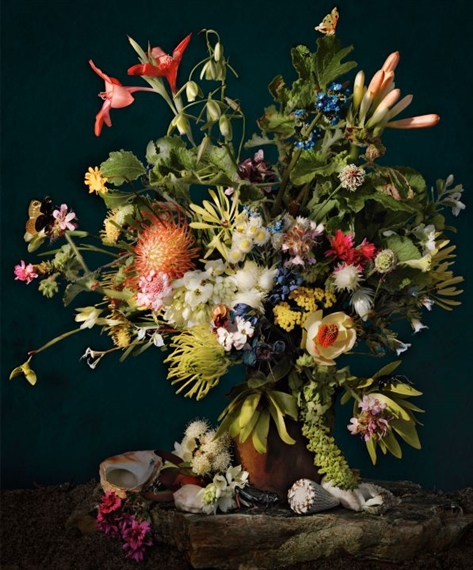 Andrew Putter | Hottentots Holland: Flora Capensis 3 | MutualArt