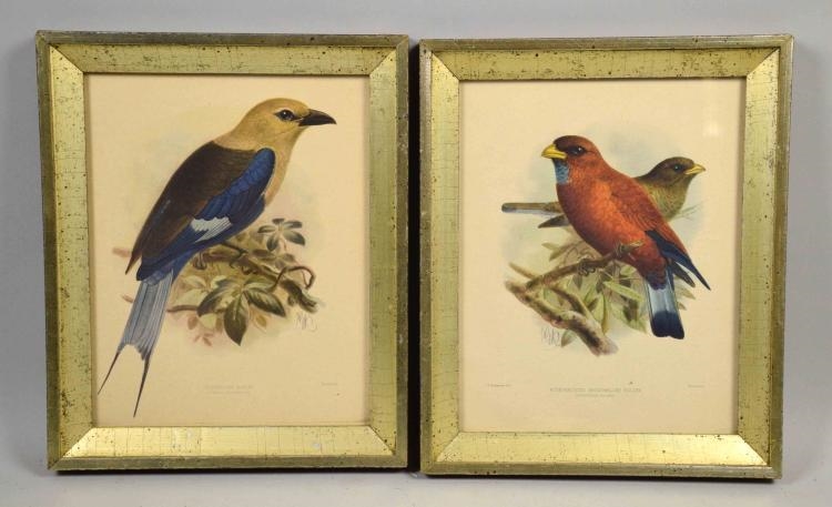 Johannes Gerardus Keulemans | PAIR OF ENGLISH OFFSET LITHOGRAPHS OF ...