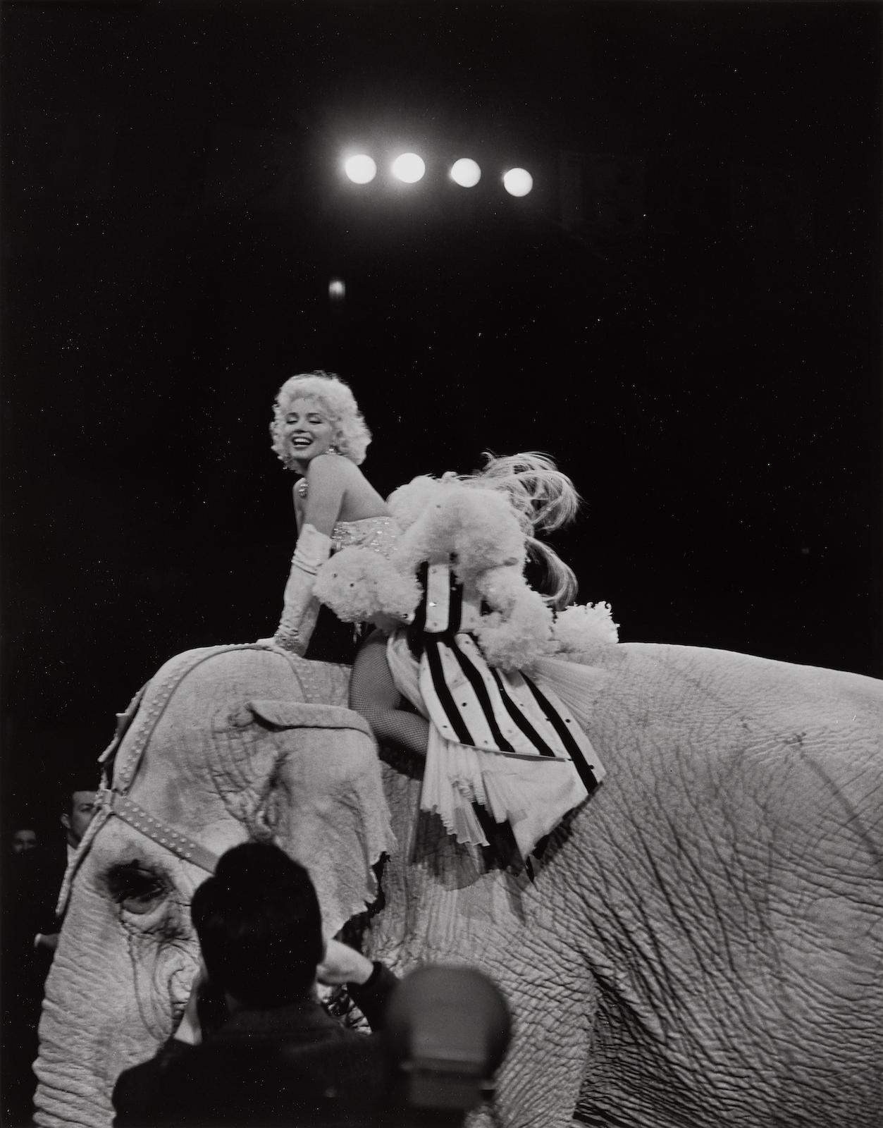 Erika Stone | Marilyn Monroe Riding a Pink Elephant at the Opening of ...