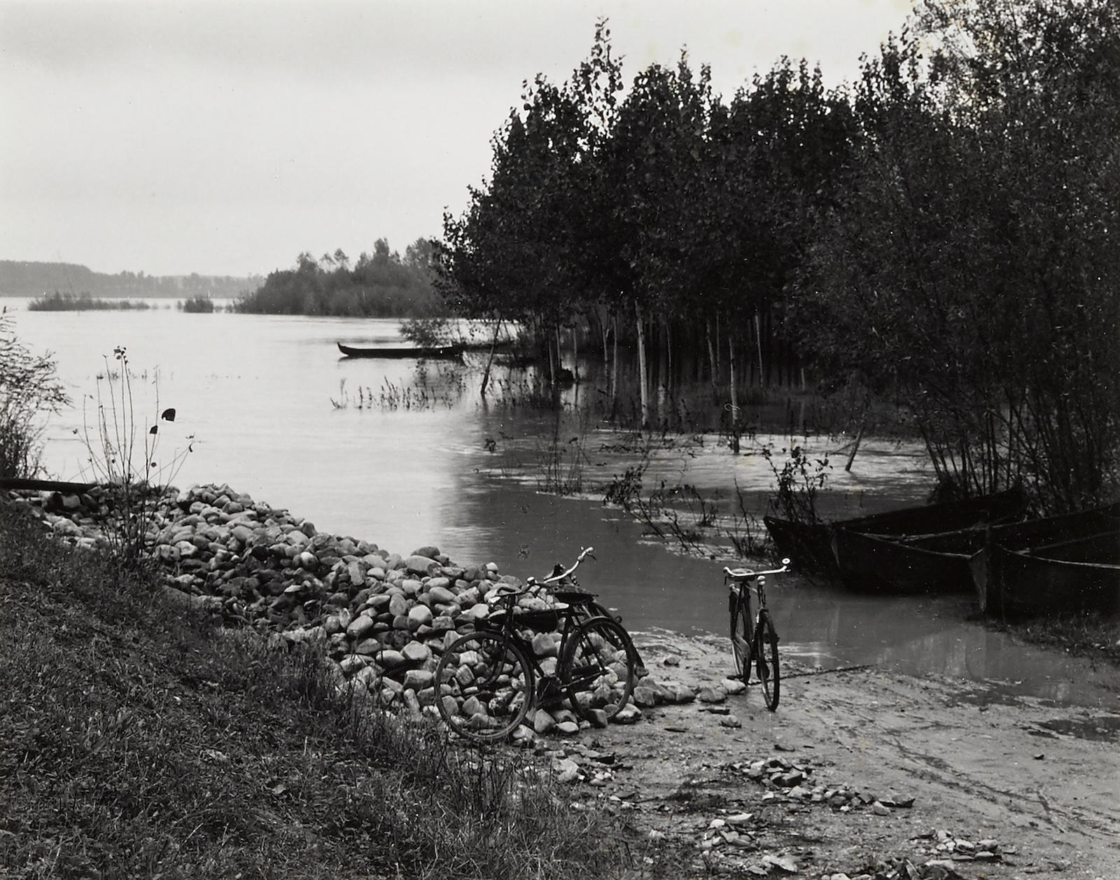 Paul Strand | Day Laborer, Luzzara (1953) | MutualArt