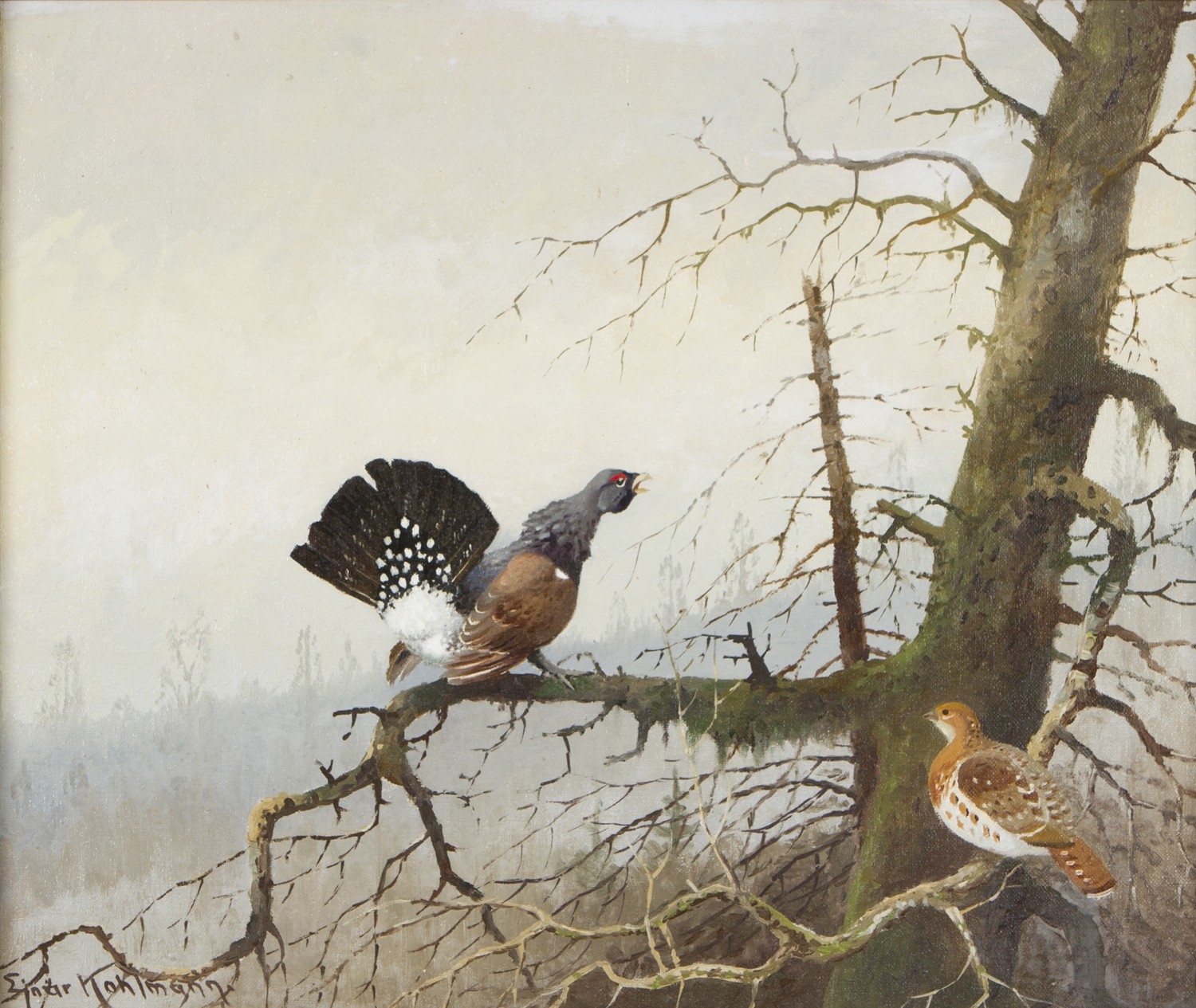 Ejnar Kohlmann | Wood grouse | MutualArt