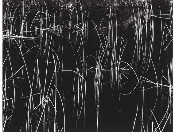 Brett Weston | Reeds and Black Water | MutualArt
