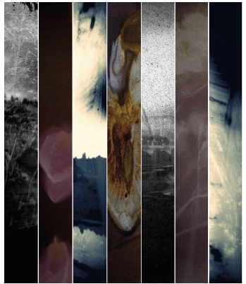 Eliza Mitchell | 1 Exhibitions and Events | MutualArt