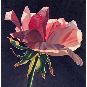 Ed Mell | Cactus Flower | MutualArt