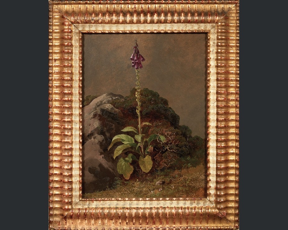 Emmanuel Fries | Digitale (1843) | MutualArt