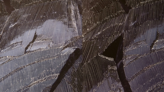 Ben Buswell | Artist Overview | MutualArt