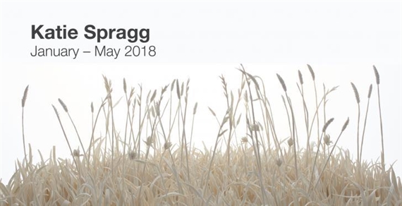 Katie Spragg | Artist Overview | MutualArt