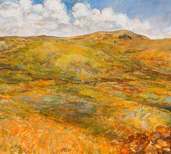 Scott Bredin | 9 Artworks at Auction | MutualArt