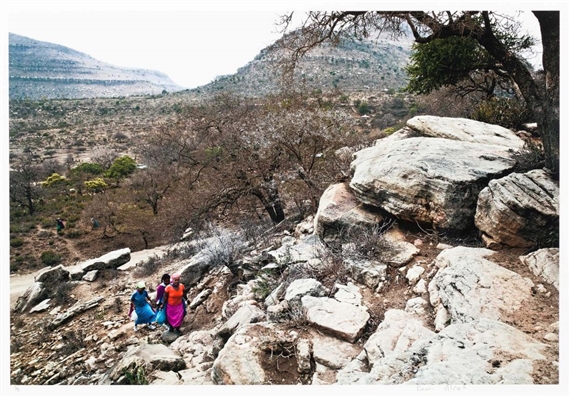 Pearl Alcock | 3 Artworks | MutualArt