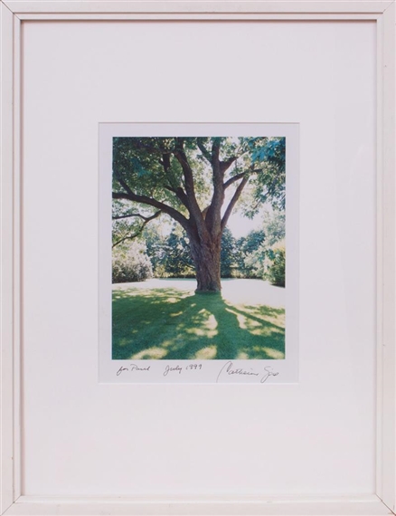 Catherine Opie - Ron Athey, 1994, color coupler...