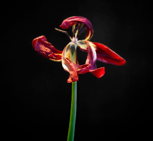 John Herrin | Exhibitions | MutualArt