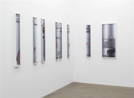 Joshua Petherick | 8 Exhibitions and Events | MutualArt