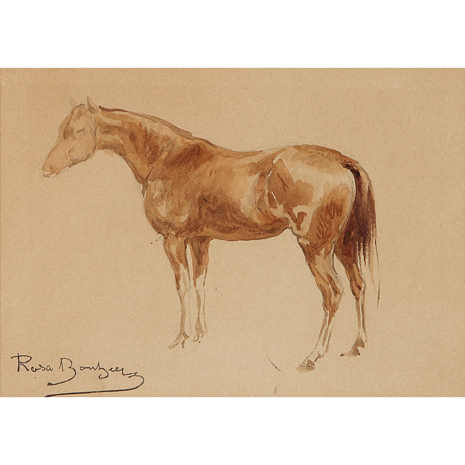 Rosa Bonheur | Horse study | MutualArt