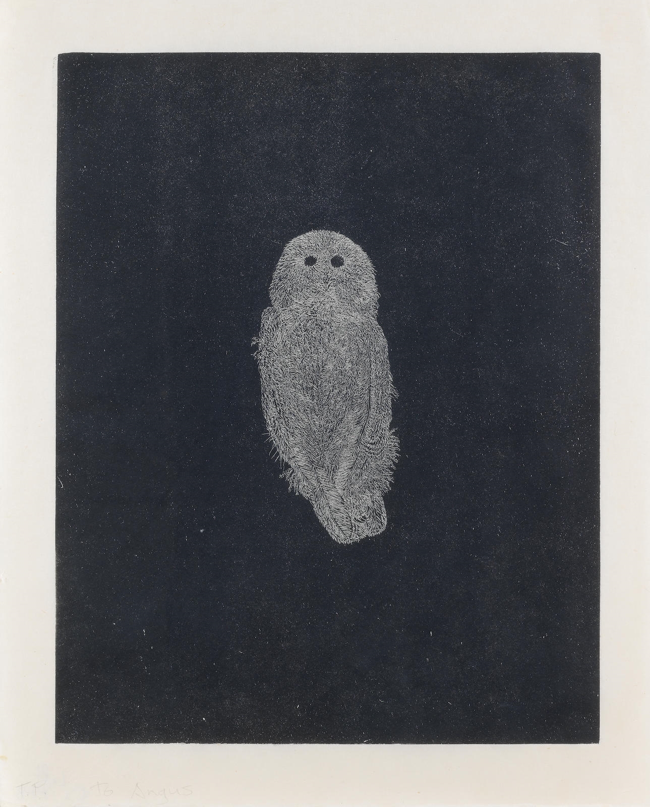 Kiki Smith | Owls (1998) | MutualArt