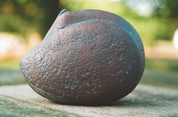 Tom Rice | Biography