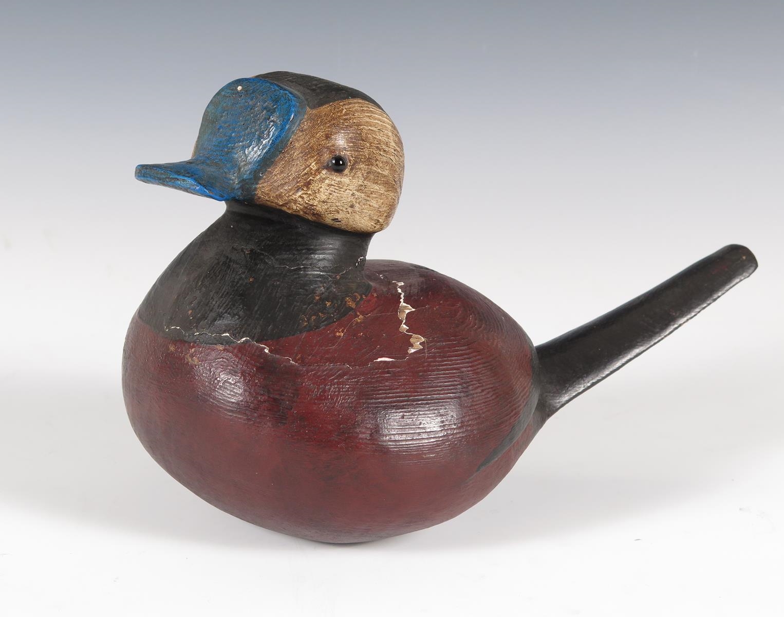 Guy Taplin | Ruddy Duck | MutualArt