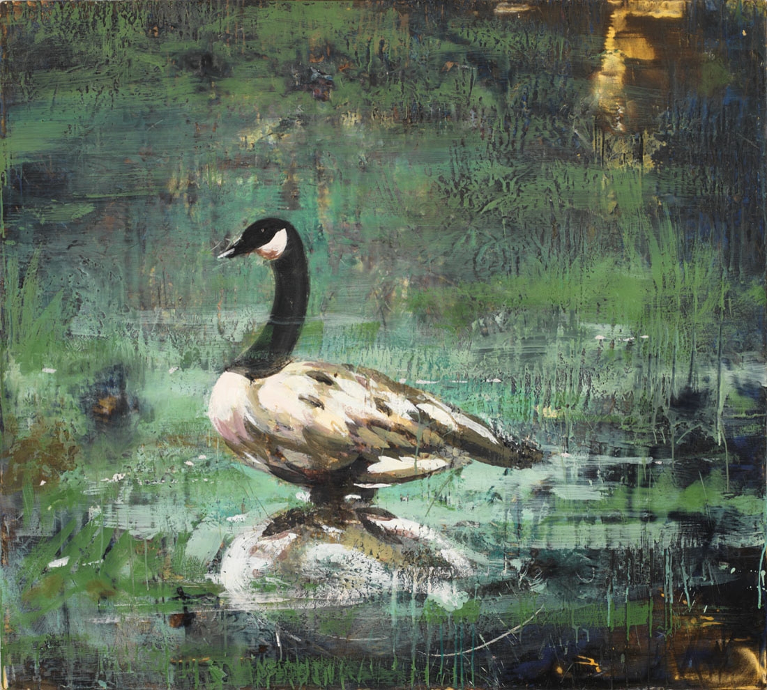 Tony Scherman | Birds of North America (2005 - 2008) | MutualArt